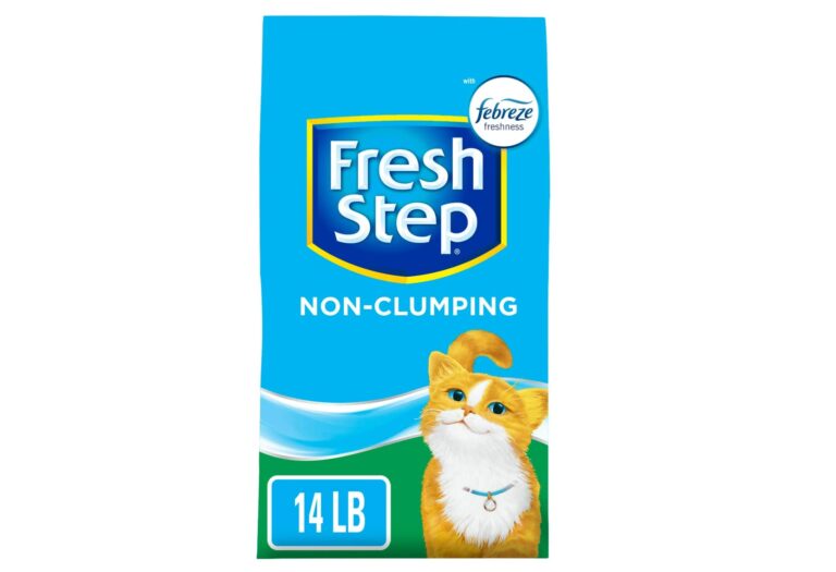 6 Best Non-Clumping Cat Litters of 2025 - Vetstreet | Vetstreet