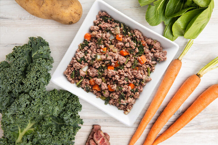 Chi Dog Review: Healing Food Therapy for Dogs - Vetstreet | Vetstreet