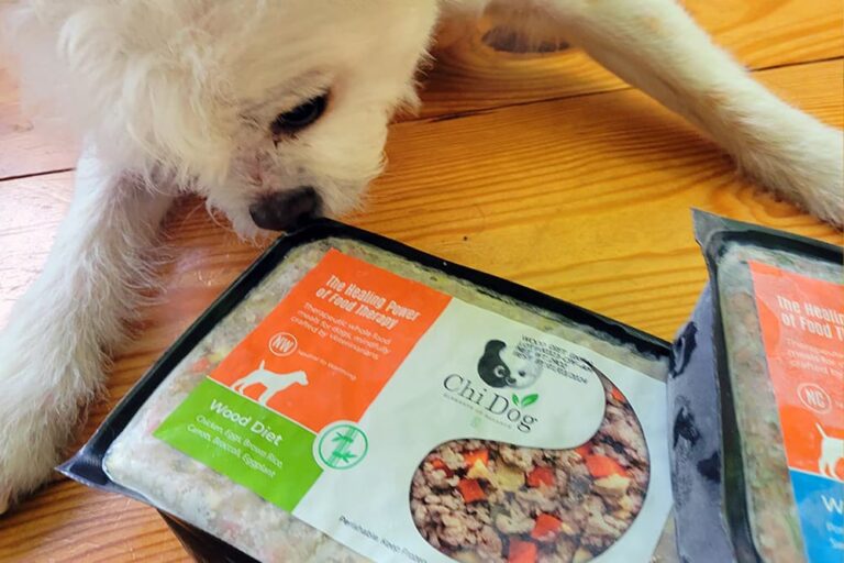 Chi Dog Review: Healing Food Therapy for Dogs - Vetstreet | Vetstreet