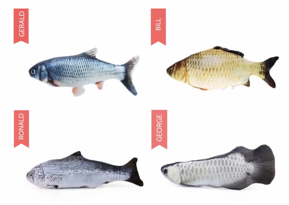 6 Best Cat Kicker Fish Toys - Vetstreet | Vetstreet