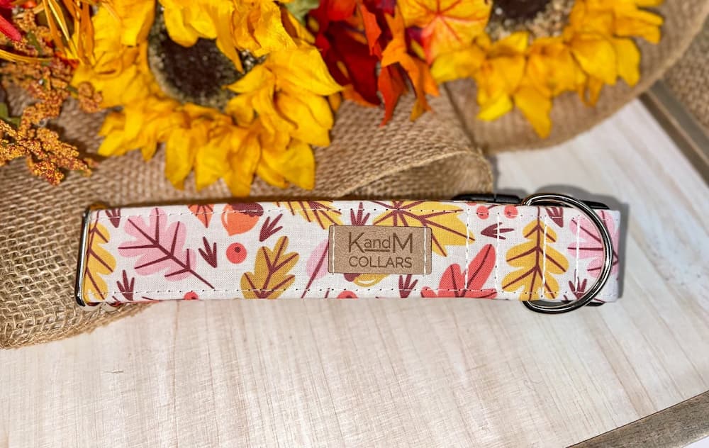 8 Best Fall Dog Collars for Festive Autumn Fashion - Vetstreet | Vetstreet