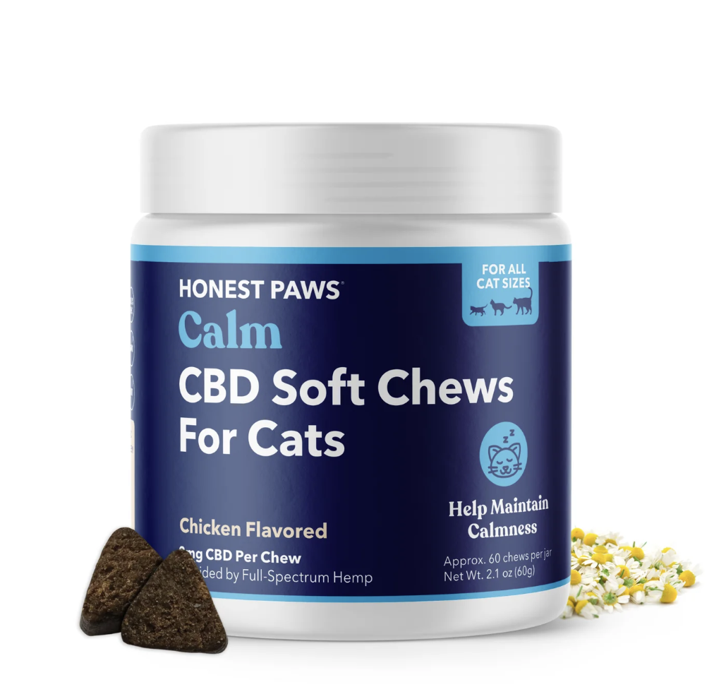 6 Best CBD Cat Treats and Chews - Vetstreet | Vetstreet