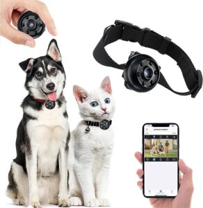 5 Best Dog Collar Cameras for a Pet’s Eye View - Vetstreet | Vetstreet