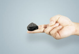 4 Best Dog Collar Cameras for a Pet’s Eye View - Vetstreet | Vetstreet