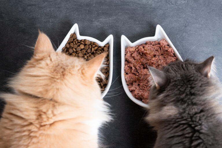 Meow Mix Cat Food Review - Vetstreet | Vetstreet