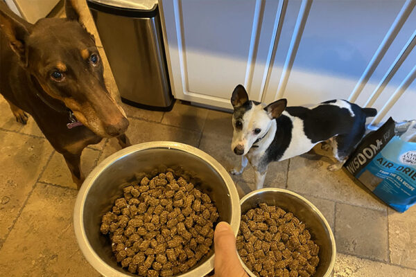 New Earth Animal Launch: Wisdom Air-Dried Dog Food Review - Vetstreet ...