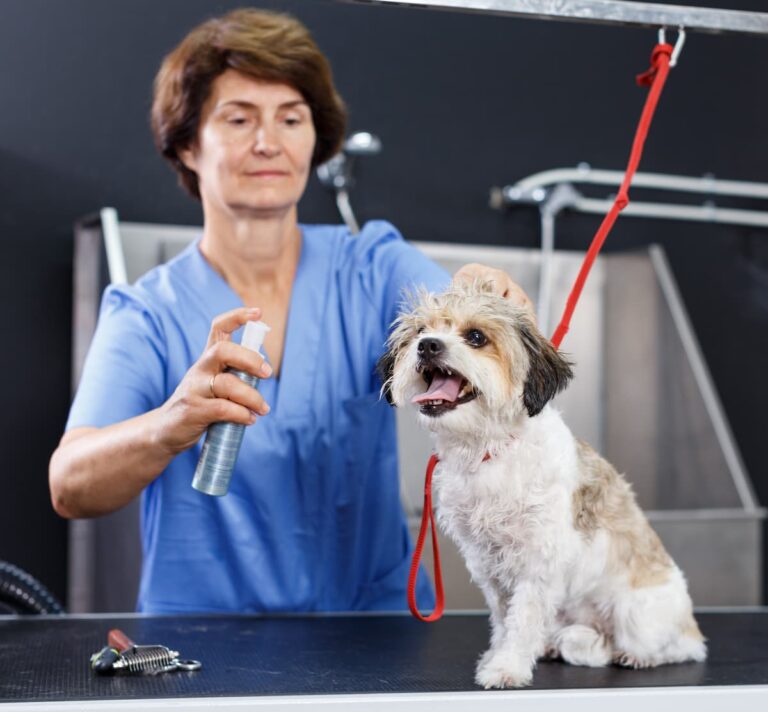 7 Best Dog Perfumes of 2025 - Vetstreet | Vetstreet