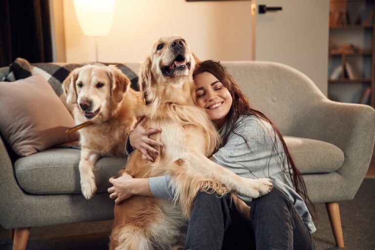 Your Adult Dog: 3-4 years - Vetstreet | Vetstreet
