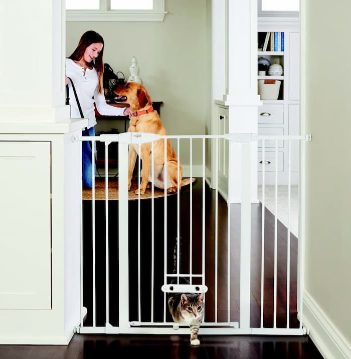 Keeping Felines Safe: Best Cat Gates of 2025 - Vetstreet | Vetstreet