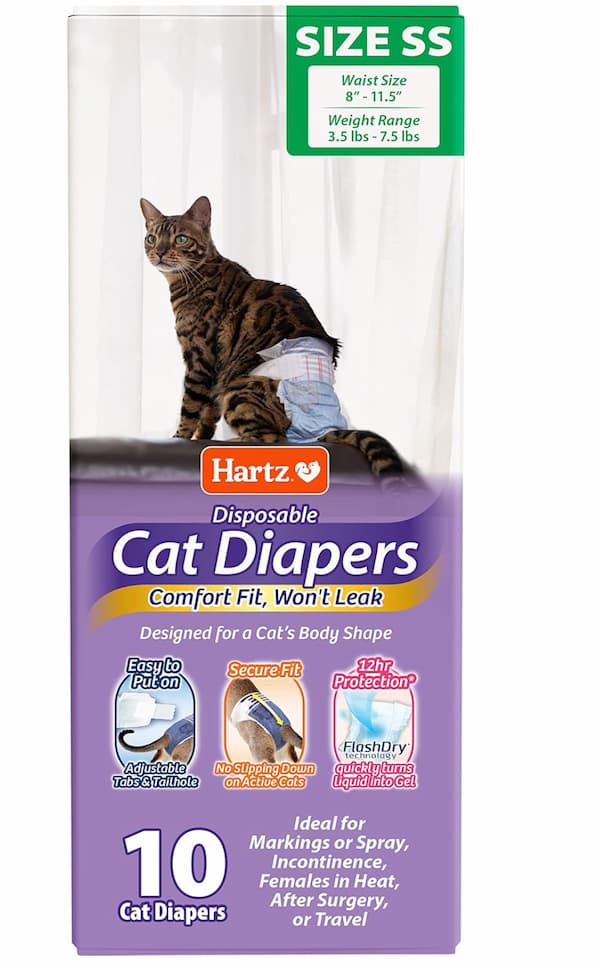Cat Diapers To Help Prevent Accidents - Vetstreet | Vetstreet