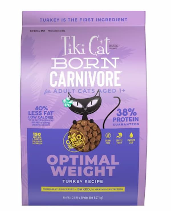 High-Protein Cat Food: 10 Best Options for 2025 - Vetstreet | Vetstreet