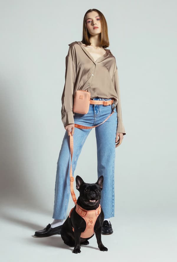 9 Best Dog Harness and Leash Sets of 2025 - Vetstreet | Vetstreet
