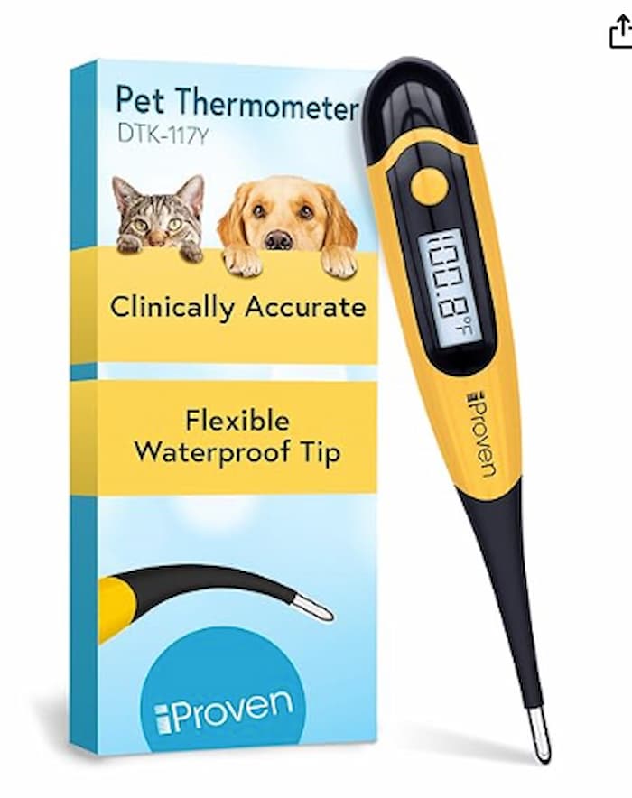 6 Best Vet-Approved Dog Thermometers of 2024 - Vetstreet | Vetstreet