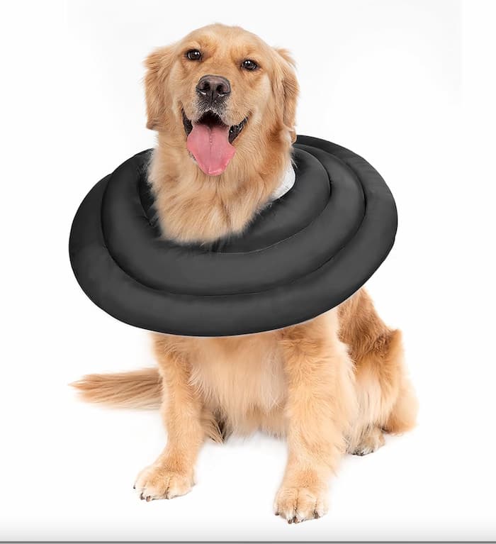 8 Dog Cone Alternatives That Actually Work - Vetstreet | Vetstreet