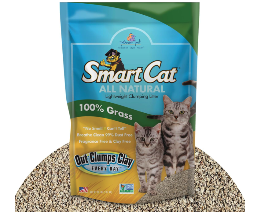 13 Best Dust-Free Cat Litters of 2025 - Vetstreet | Vetstreet