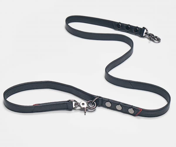 Best Heavy Duty Dog Leash: 7 Strong and Sturdy Picks - Vetstreet ...