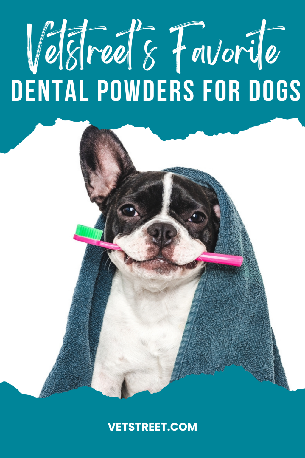 11 Top-Rated Selections: Dental Powder for Dogs 2025 - Vetstreet ...