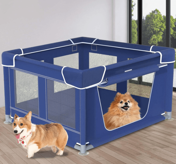 New Dog Owner Guide: 21 Items to Put on Your Shopping List - Vetstreet ...