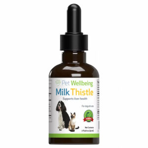 Best Liver Supplements for Cats: Supporting Your Feline’s Liver Health ...