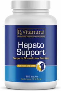 Best Liver Supplements for Dogs: Supporting Your Dog’s Liver Health ...