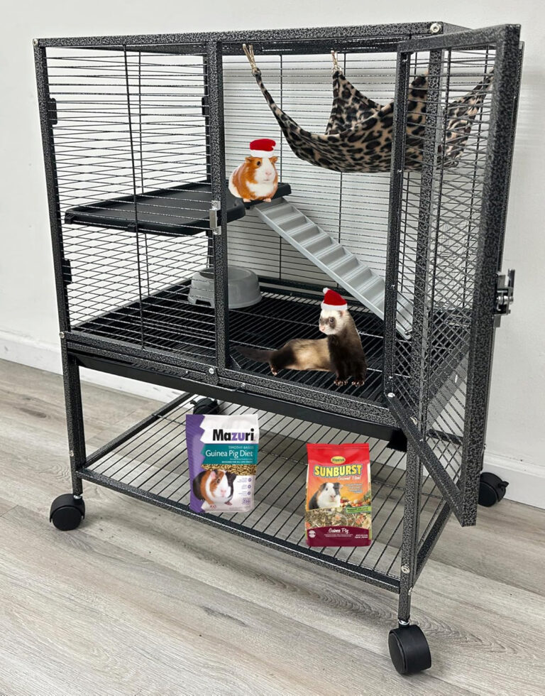 8 Guinea Pig Cage Selections For Cozy Living - Vetstreet | Vetstreet